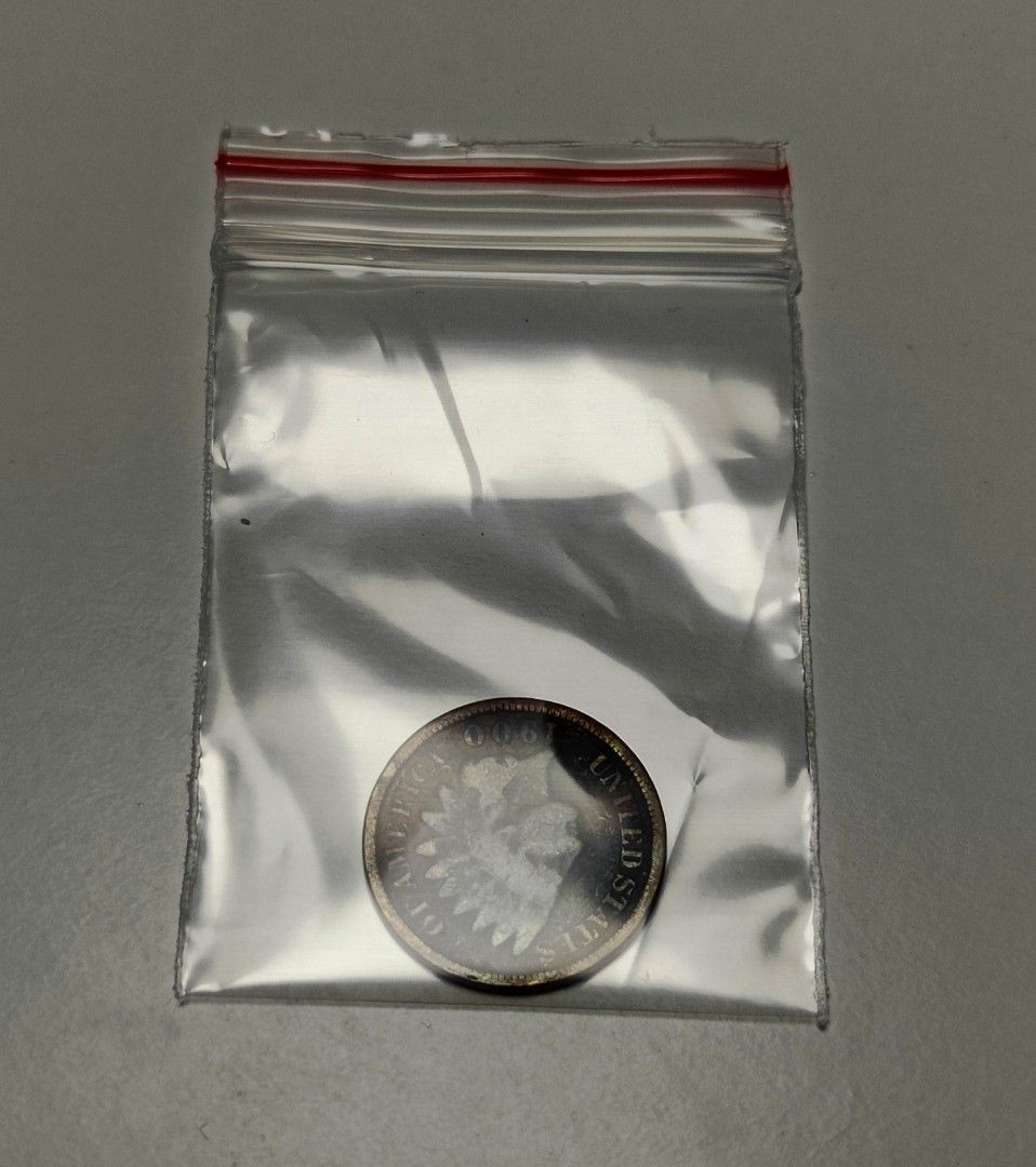 US Tone Coin 1900 Indian Head VF(2), Hobbies & Toys, Memorabilia ...