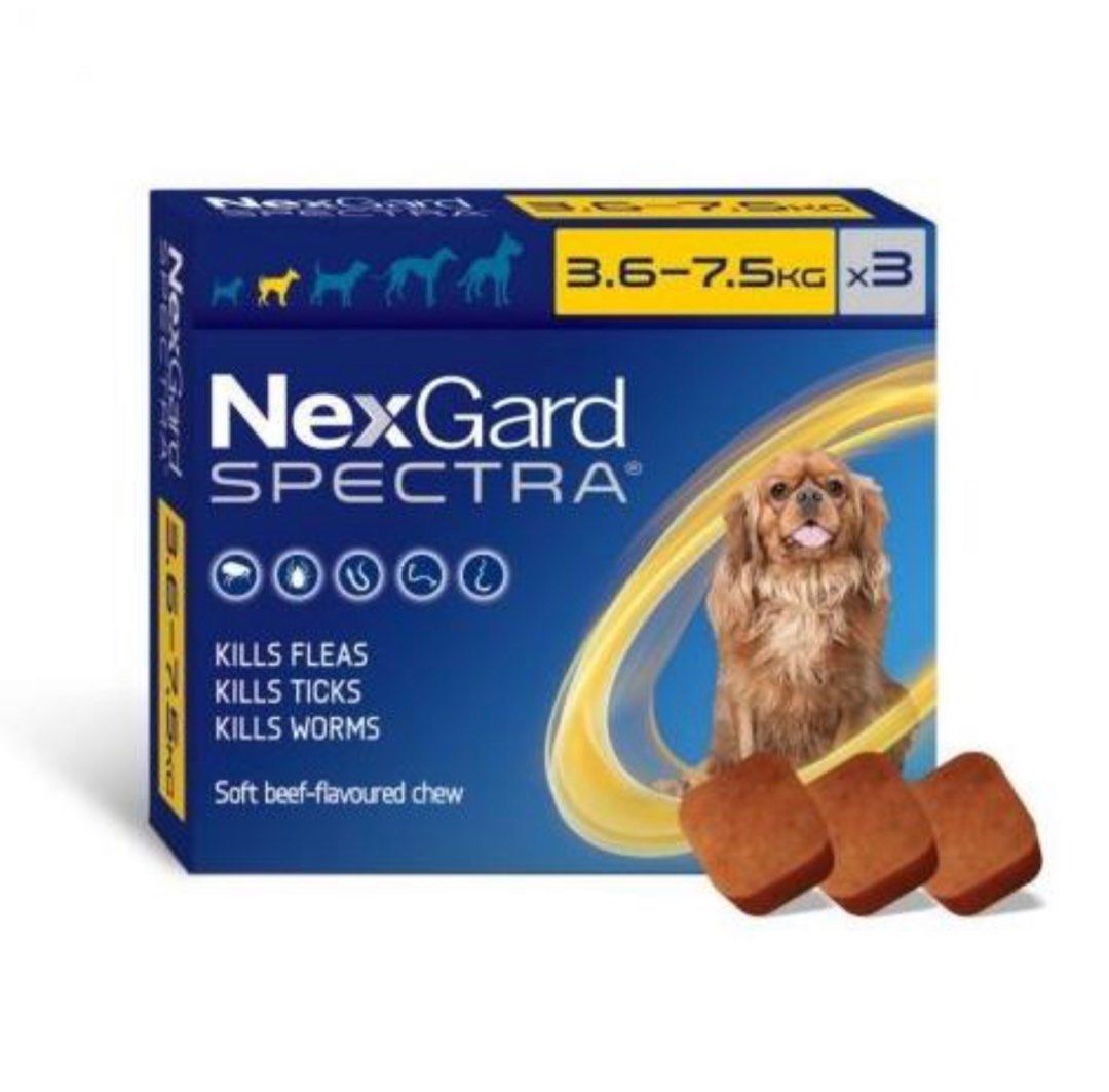2 x Nexguard Spectra - 3.6 - 7.5kg, Pet Supplies, Health & Grooming on ...