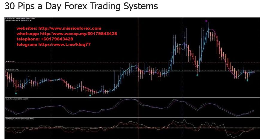 30 Pips a Day Forex Trading Systems (Total size: 4.2 MB Contains: 4 ...