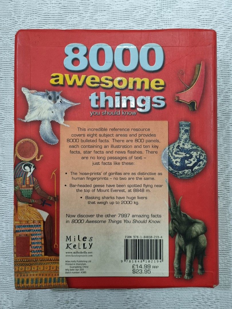 8000 Awesome Things, Hobbies & Toys, Books & Magazines, Children's ...