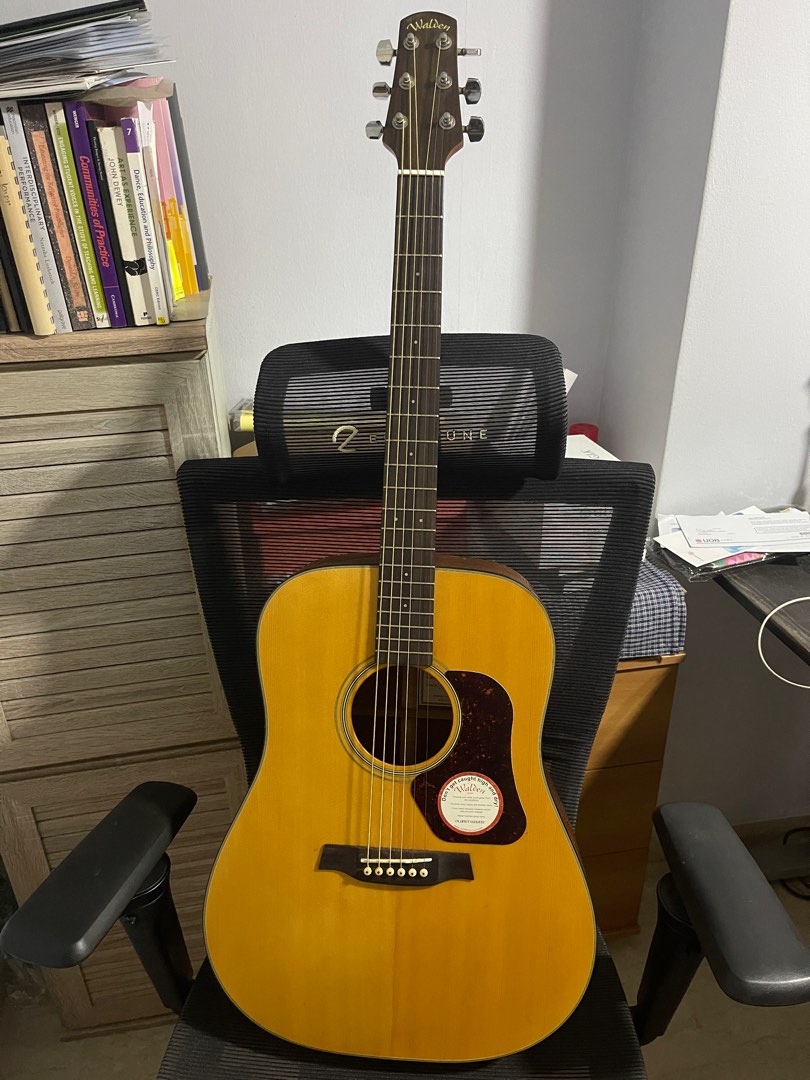 Acoustic Guitar - Walden Natura Model D550, Hobbies & Toys, Music ...