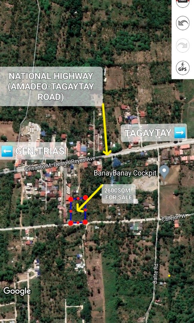 LOT for SALE near Tagaytay 20 mimutes drive. 2,600 SQM Amadeo cavite ...