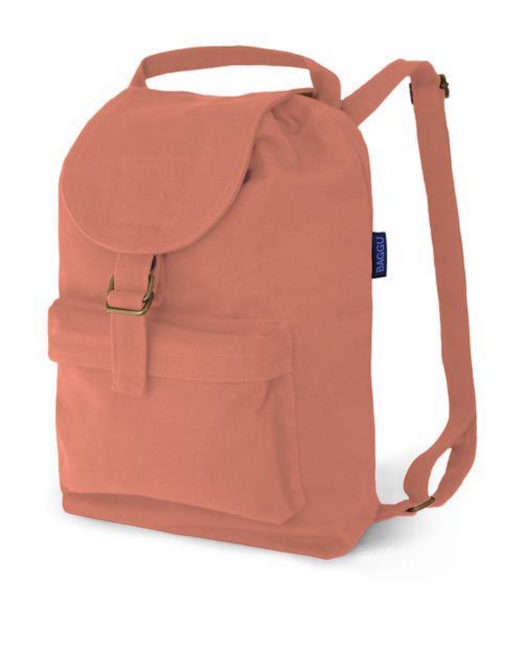 Baggu Backpack, Men's Fashion, Bags, Backpacks on Carousell
