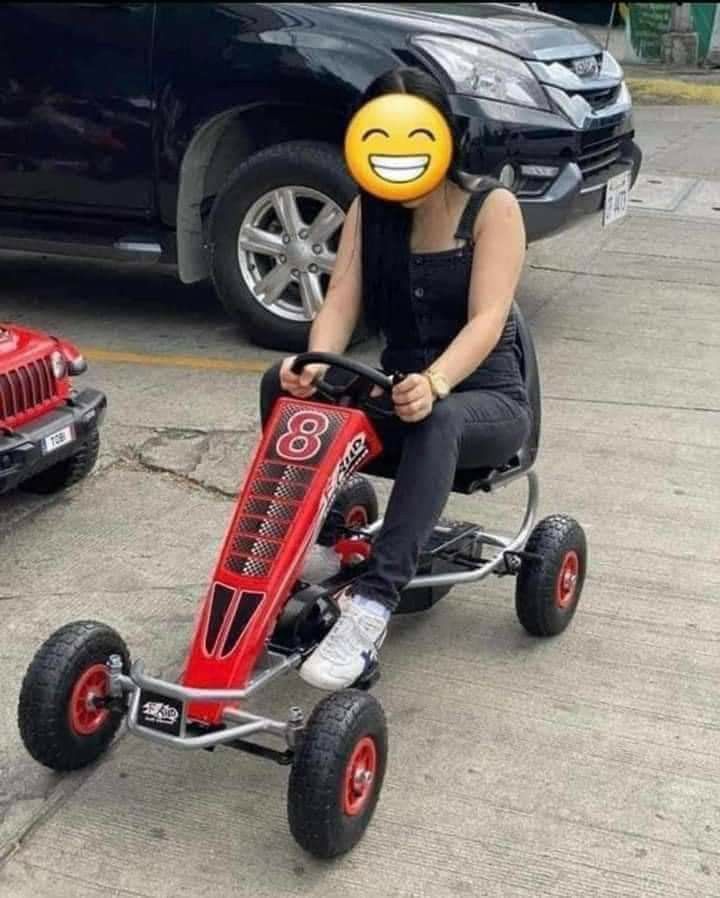 Big go kart FO8, Hobbies & Toys, Toys & Games on Carousell
