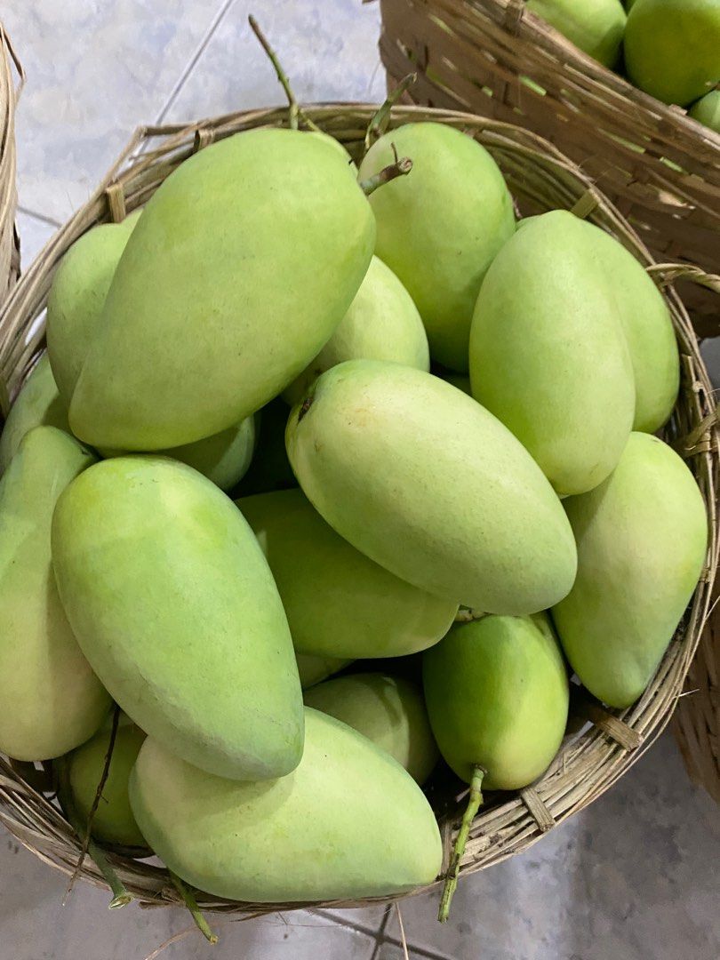 Carabao Mango / Kalabaw for Sale on Carousell