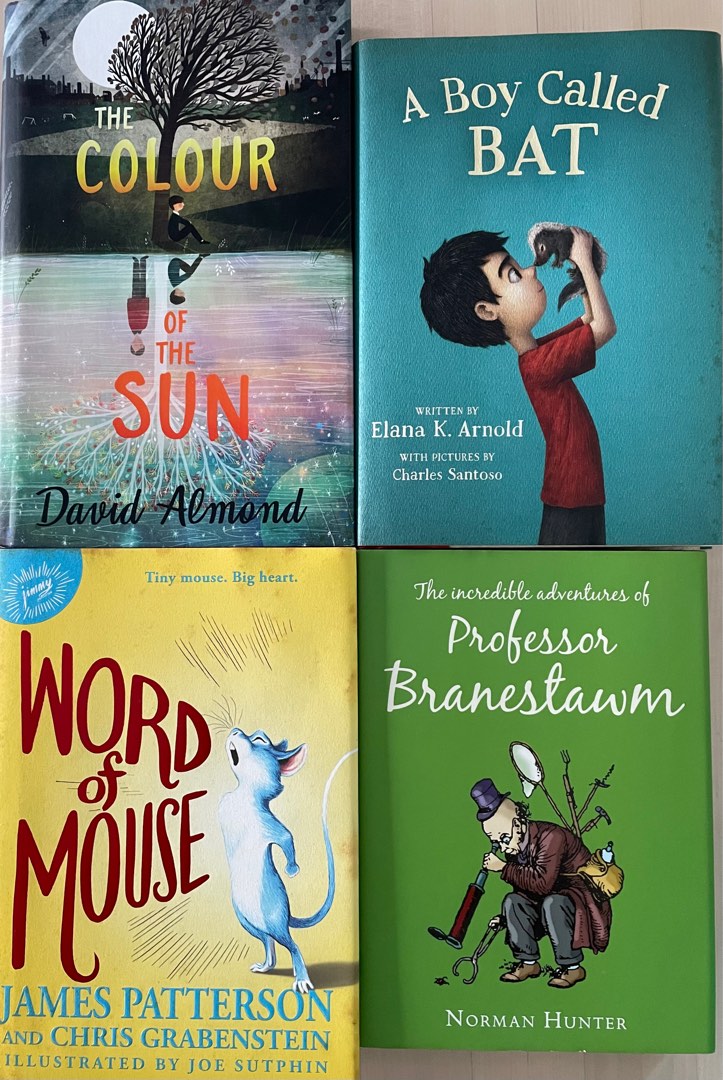 Children English Adventure Story Books ( Hardcover ) : The Incredible ...