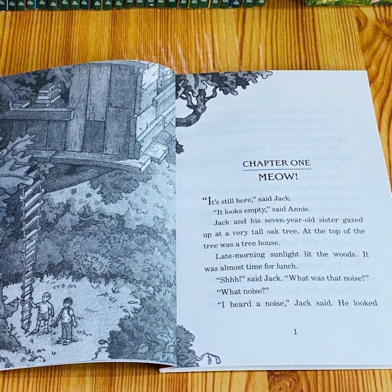 Magic Tree House Series 1 (36 Books) Point Readable, Hobbies & Toys ...