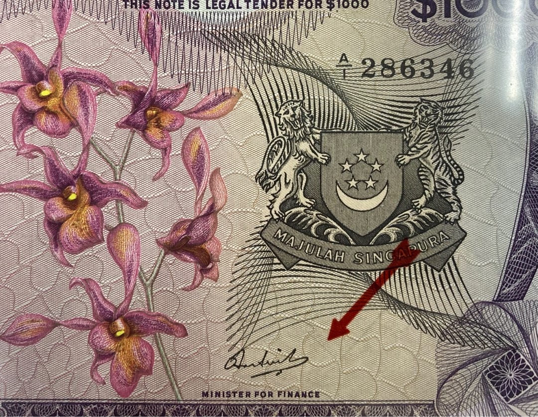 Orchid $1000 HSS w/o seal , Hobbies & Toys, Memorabilia & Collectibles ...