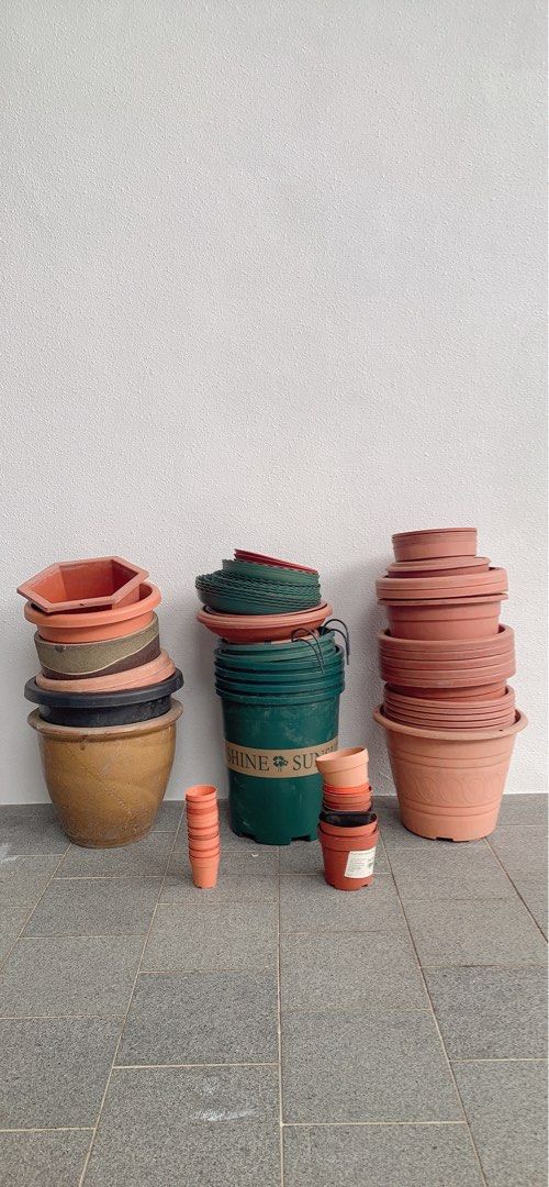 Plant pots, Furniture & Home Living, Gardening, Pots & Planters on ...