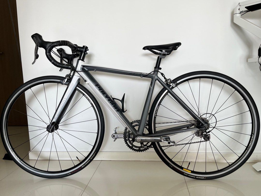 Polygon Carbon Road Bike Ultegra 48 8.1kg, Sports Equipment, Bicycles ...