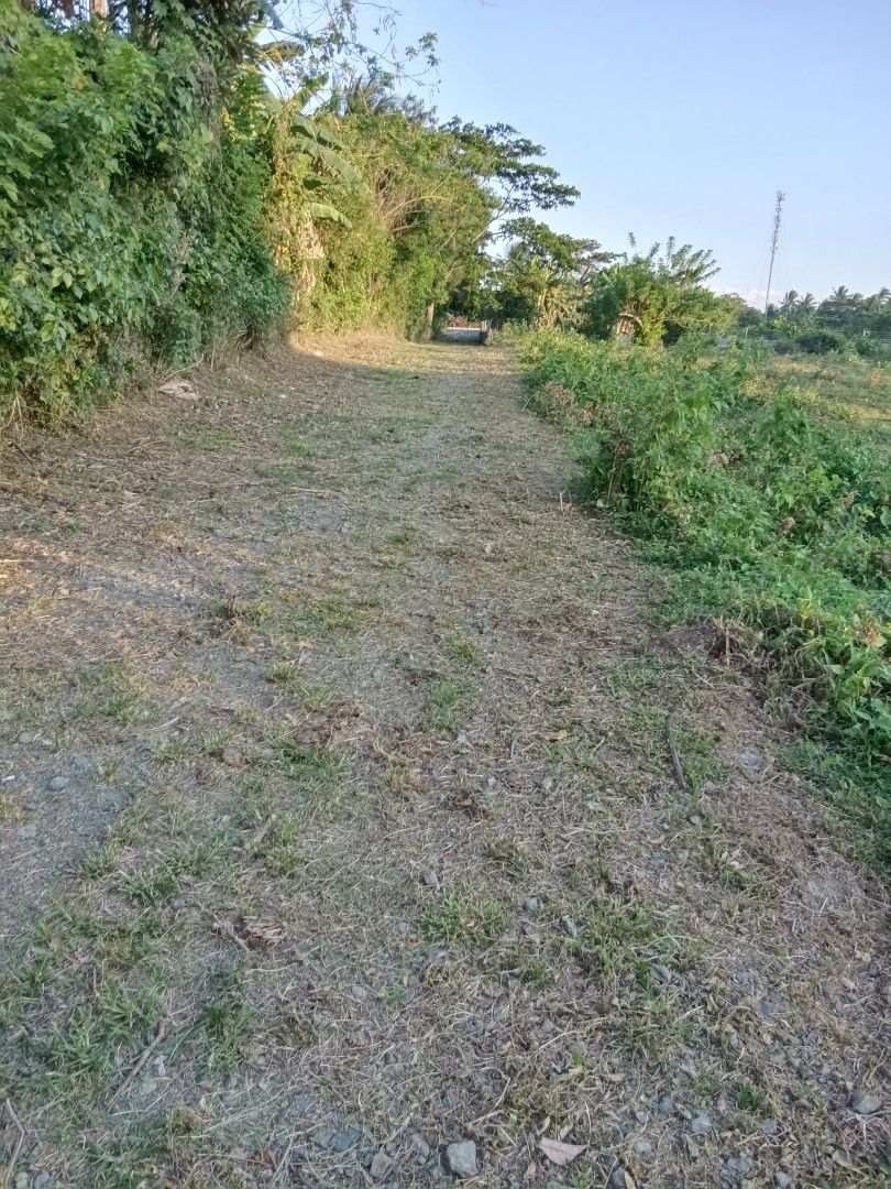 Residential Farm Lot Near CAVSU Indang Cavite, Property, For Sale, Lot on Carousell