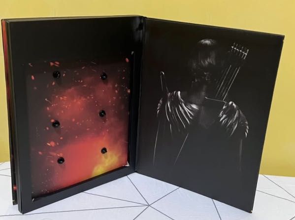 The Hunger Games Pin Set, Hobbies & Toys, Memorabilia & Collectibles ...