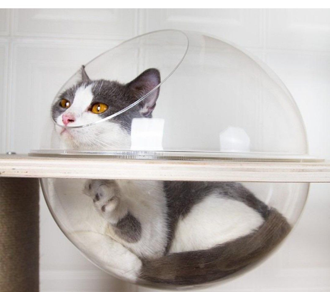 Ultimate Incredible Spaceship Cat Tree PVC pole / Cat Scratching Tree ...