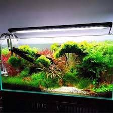 Week Aqua P1200 Pro 150W (Suitable for 4ft Aquarium), Pet Supplies ...