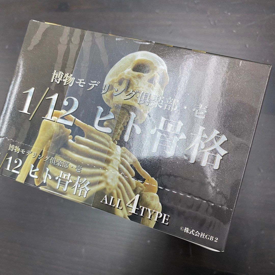 全新 日版 未開 1/12 SO-TA 骷髏骨人 4盒 Hakubutsu Modeling Club Human Skeleton ...