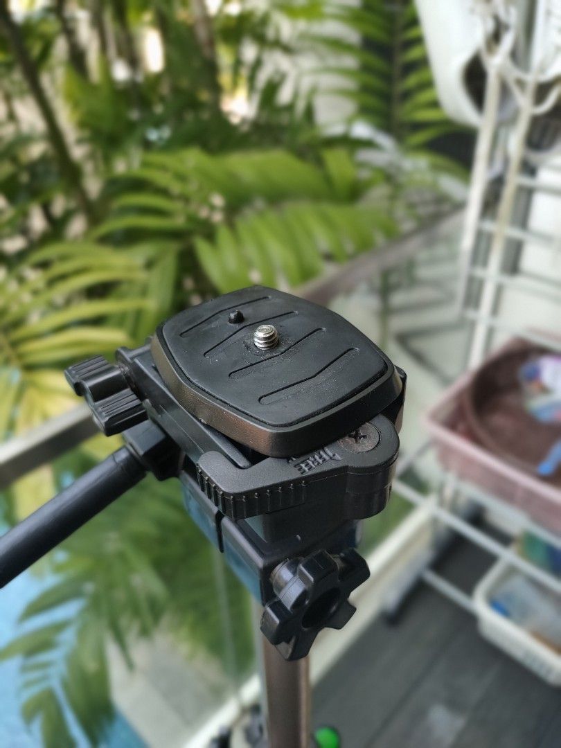 Basic Tripod ( Canon), Photography, Photography Accessories, Tripods ...