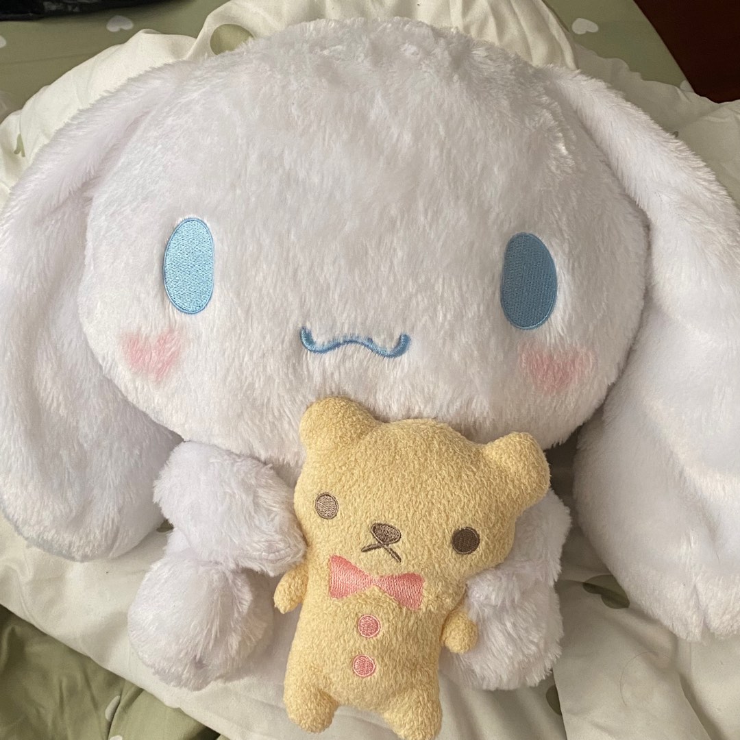 cinnamoroll holding bear plush on Carousell