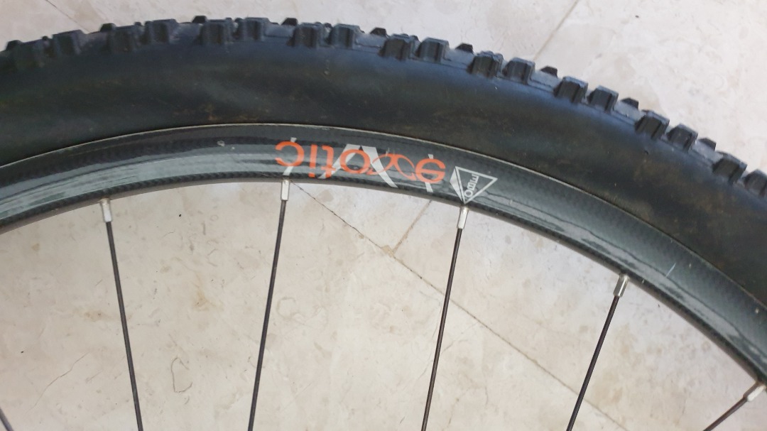 eXotic Carbon MTB front wheel with rotor and tyre 26in, Sports ...