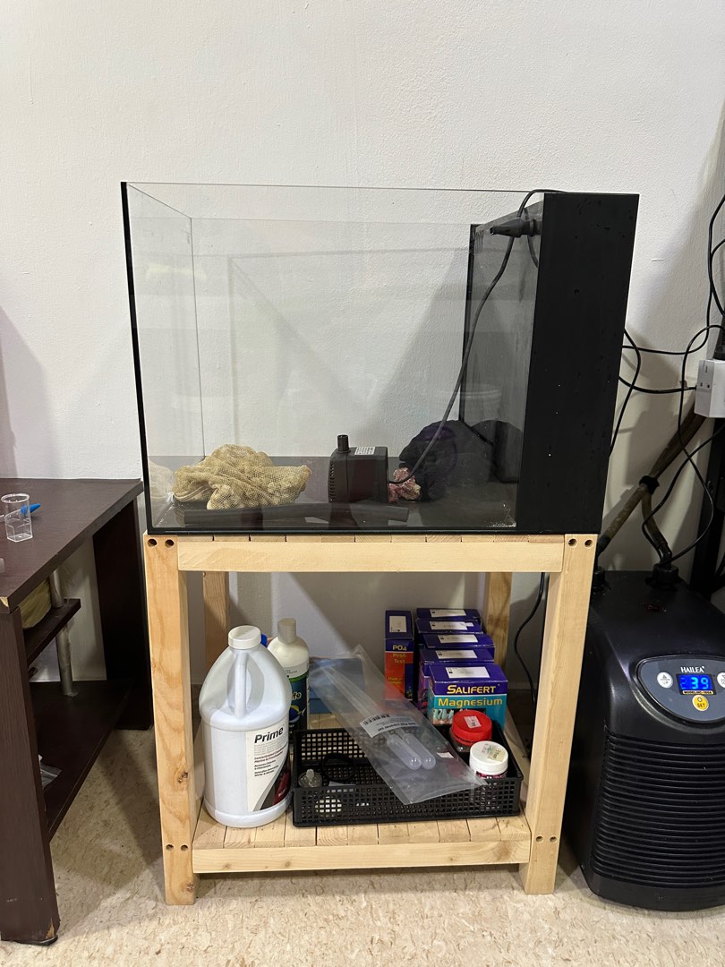Waterbox Aquariums Cube Peninsula Mini 15 Fish Tank, Pet Supplies ...