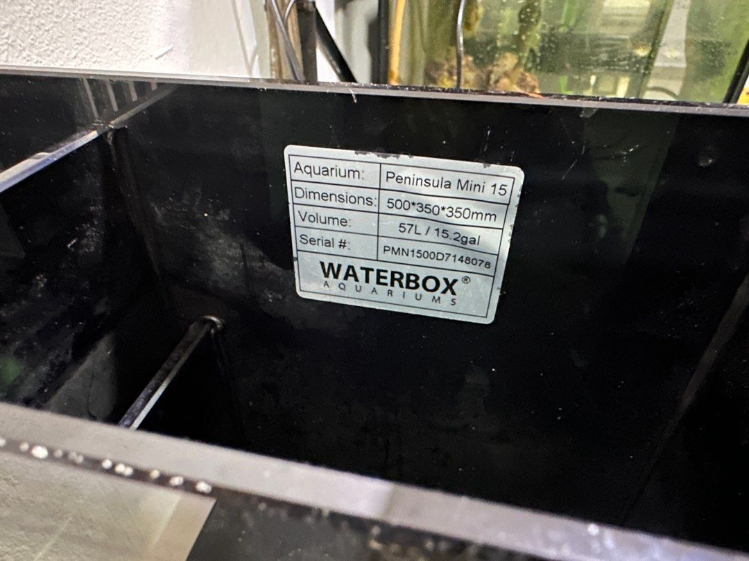 Waterbox Aquariums Cube Peninsula Mini 15 Fish Tank, Pet Supplies ...