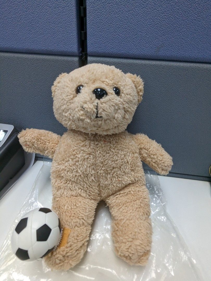Fullerton soccer bear, Hobbies & Toys, Toys & Games on Carousell