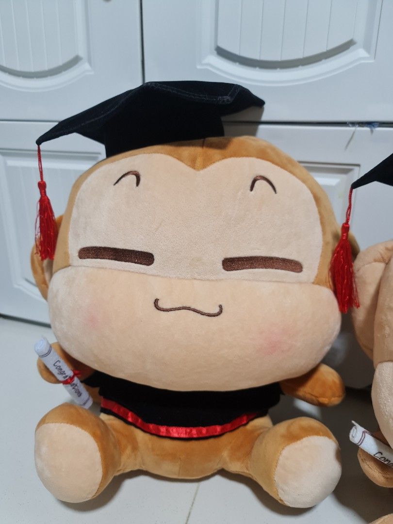 Graduation bear 40cm graduation gift Monkey Couple, Hobbies & Toys ...
