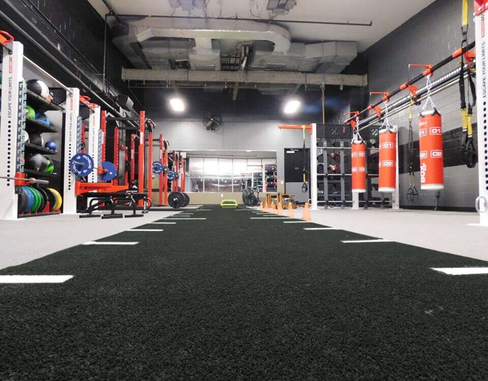 Gym Black Turf / Artificial Grass, Sports Equipment, Other Sports ...