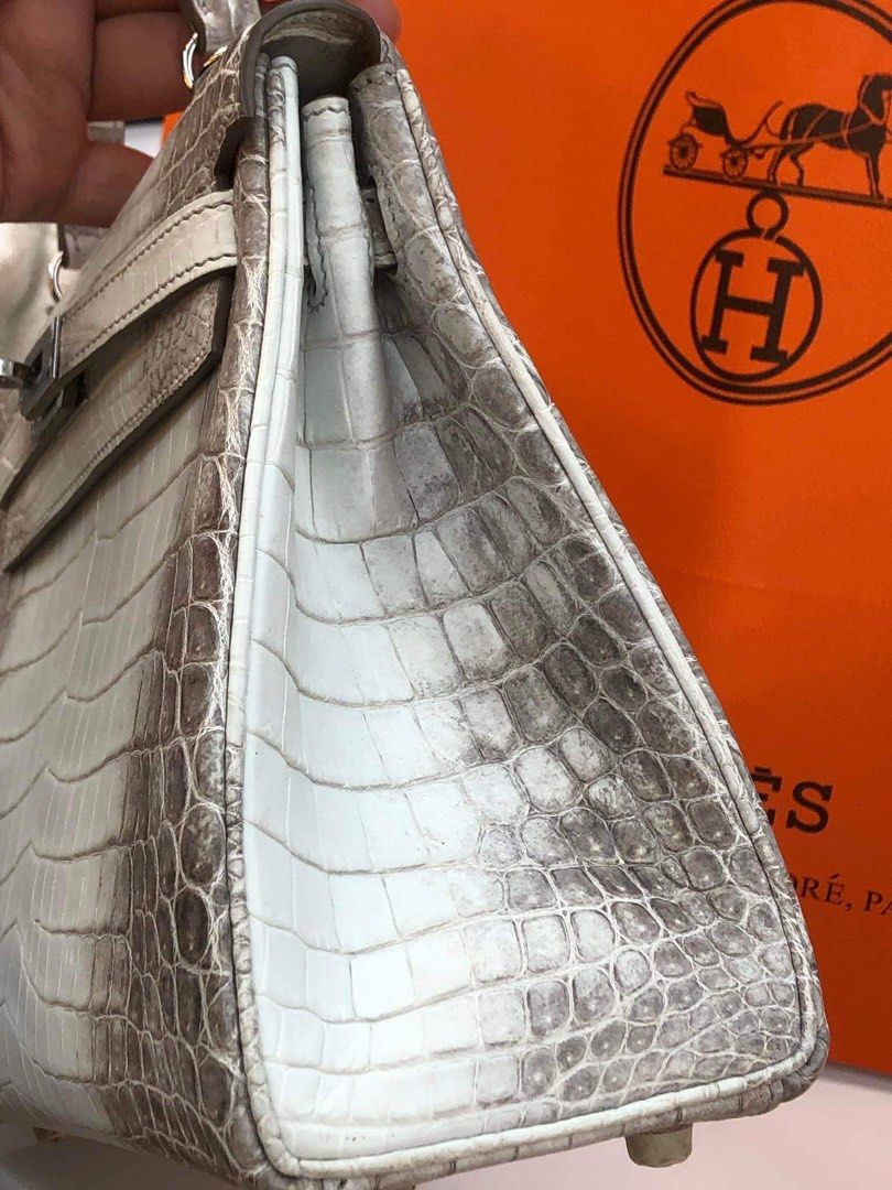 Himalayan Kelly 25/30cm on Carousell