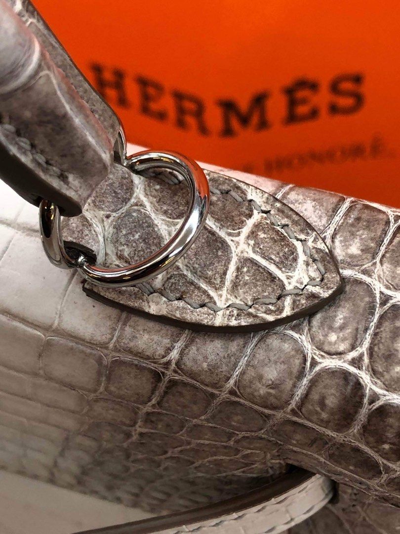 Himalayan Kelly 25/30cm on Carousell