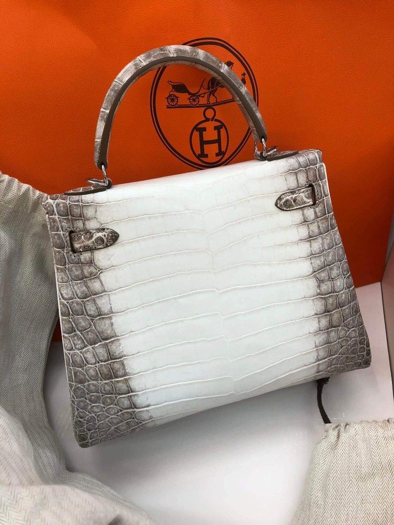 Himalayan Kelly 25/30cm on Carousell