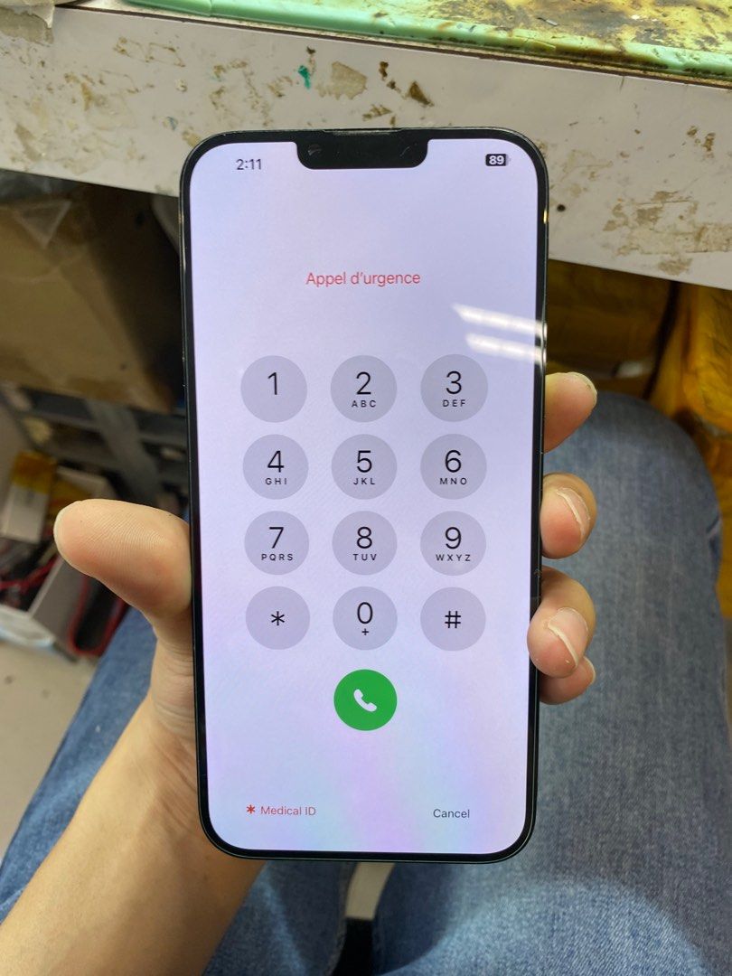 iPhone 13 Pro /iPhone 13 proMax green screen/white screen repair ...