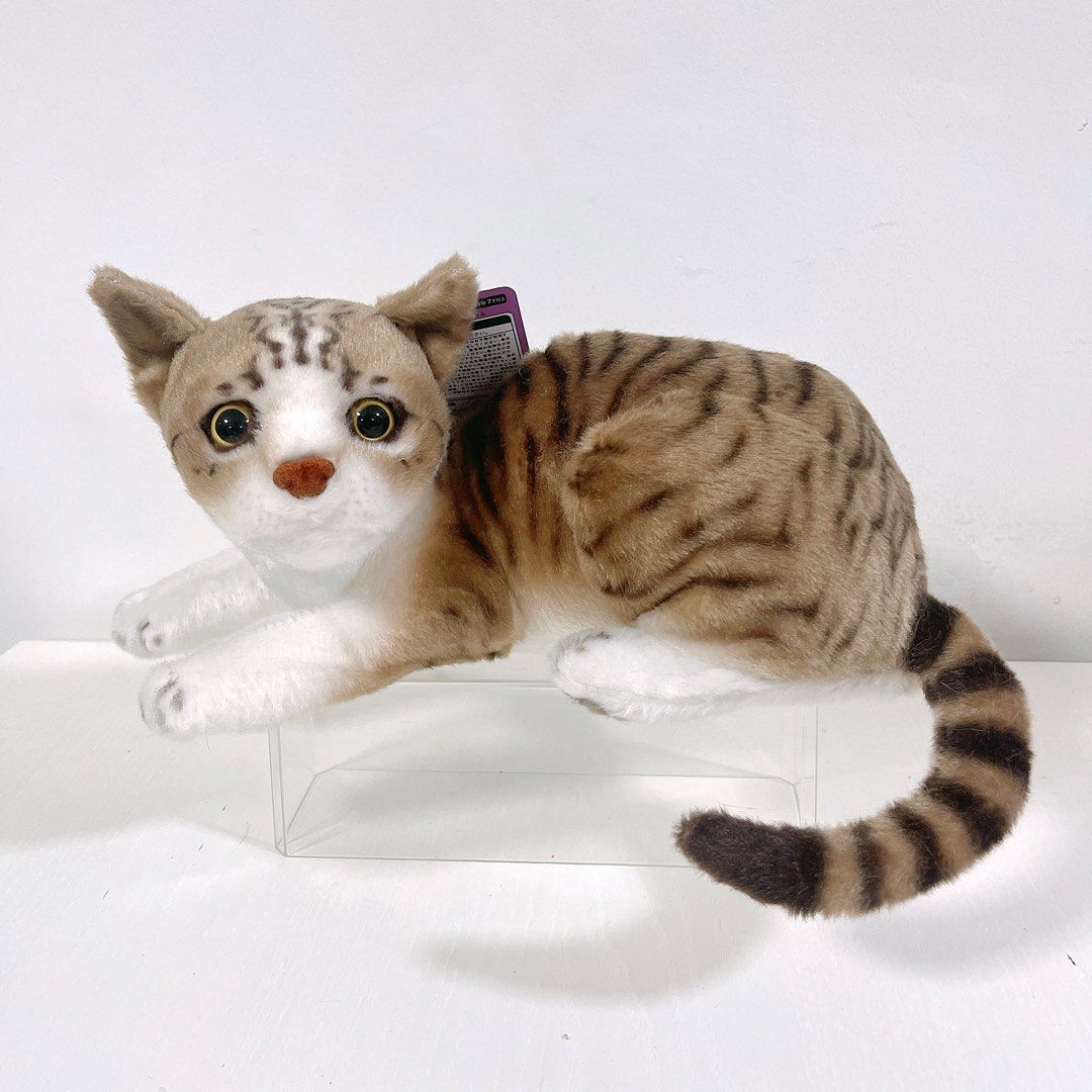 Life Like - Animal Cat Soft Tot Plush Doll - Kitten Size, Hobbies ...