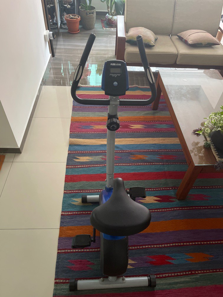 AIBI Exercise Bike, Sports Equipment, Exercise & Fitness, Cardio ...
