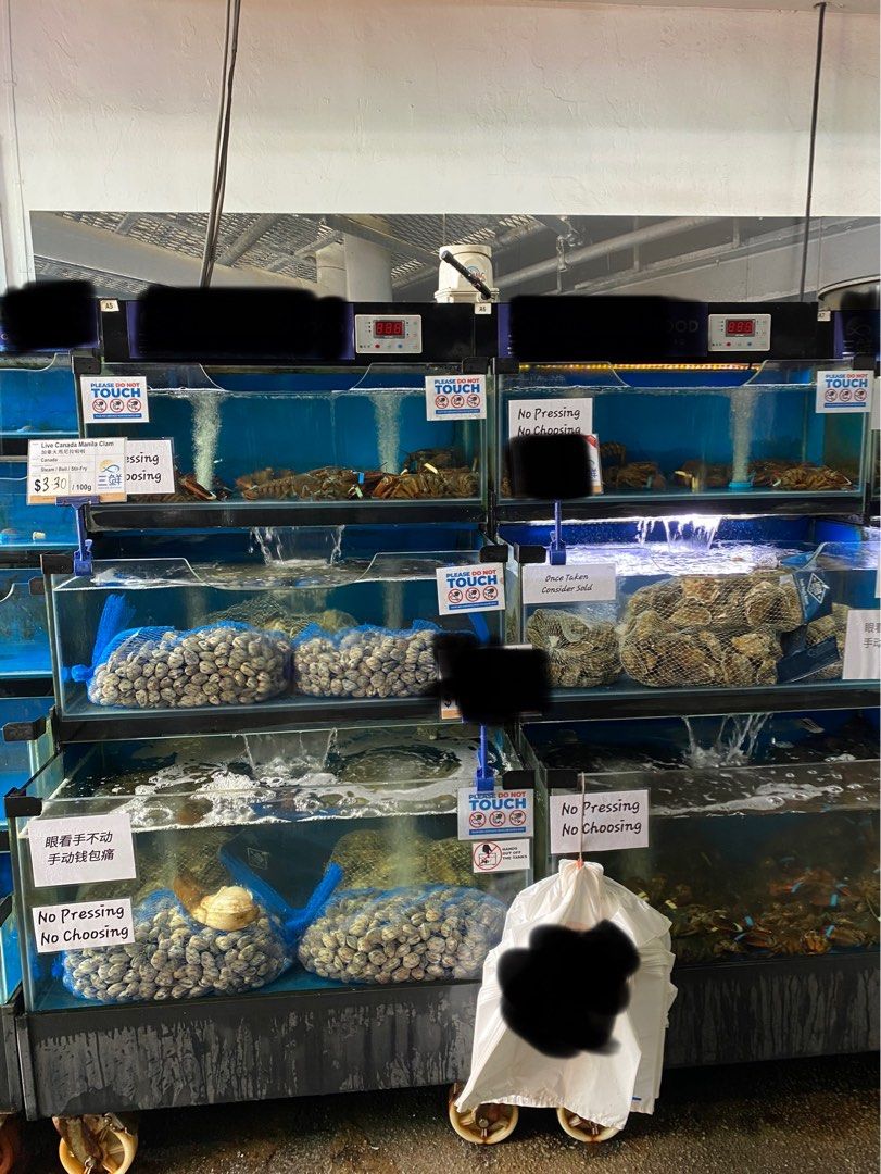 Chest Freezer, Freezer Fridge, Fresh Chiller bed & Tanks, TV & Home ...