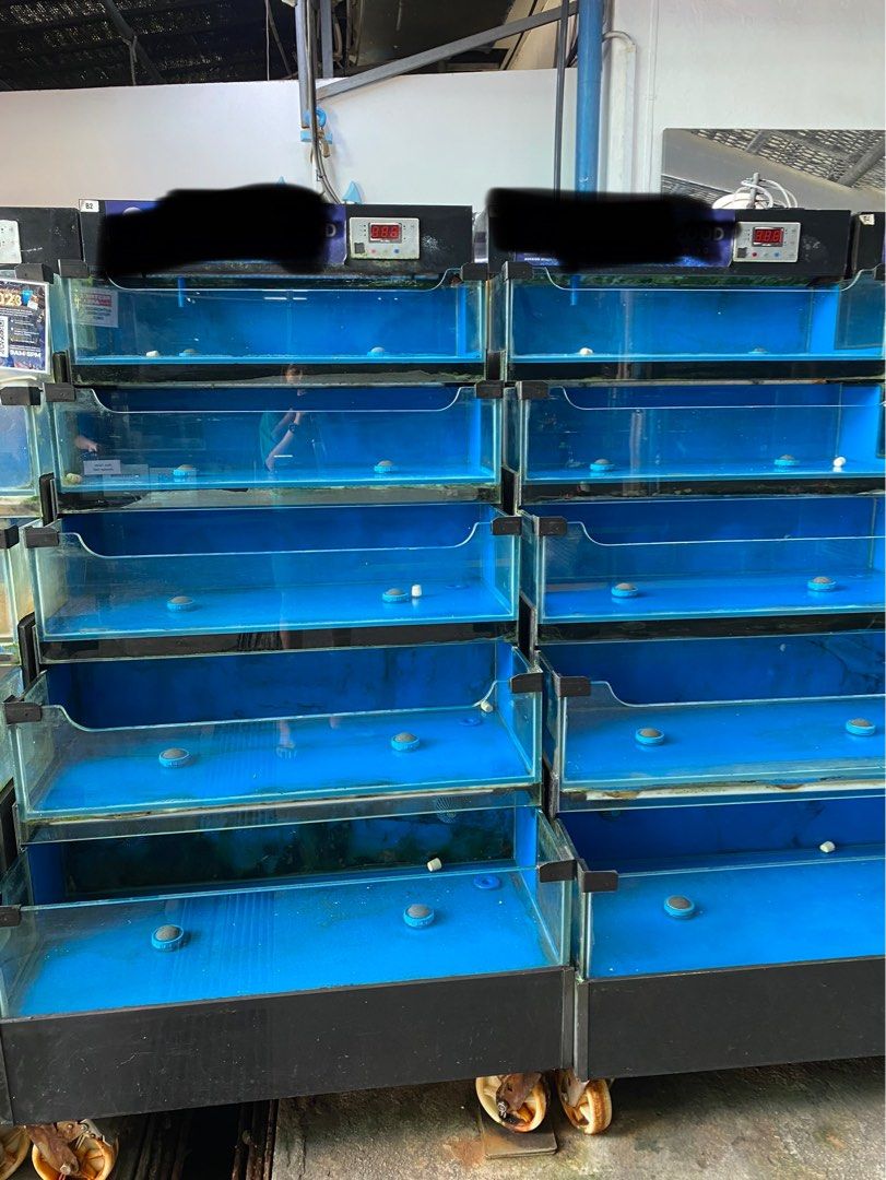 Chest Freezer, Freezer Fridge, Fresh Chiller bed & Tanks, TV & Home ...