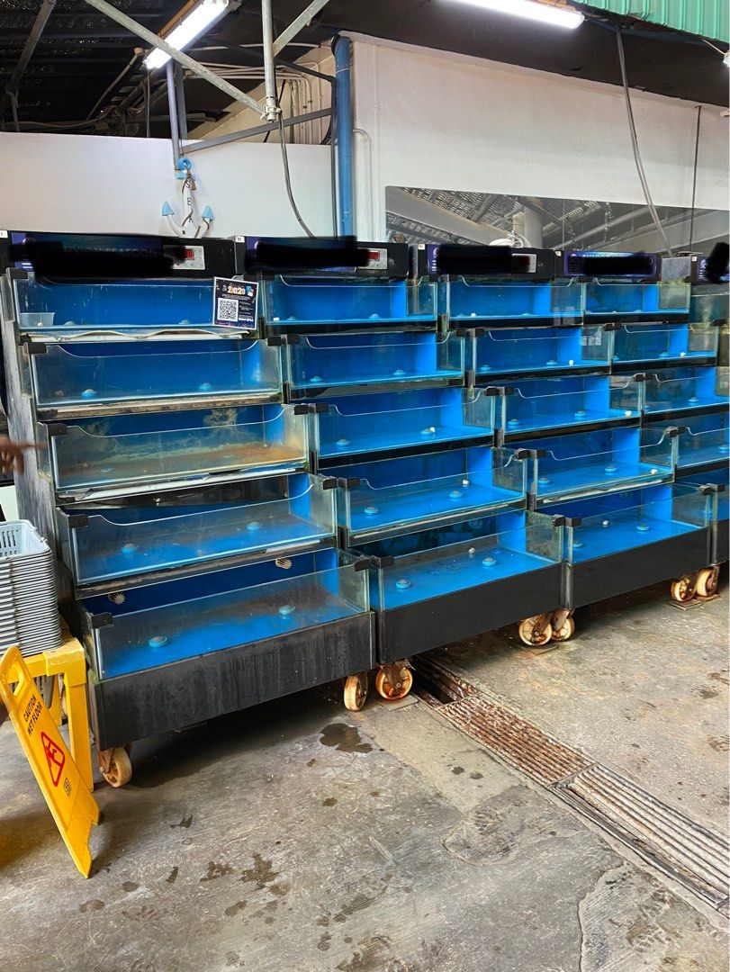 Chest Freezer, Freezer Fridge, Fresh Chiller bed & Tanks, TV & Home ...