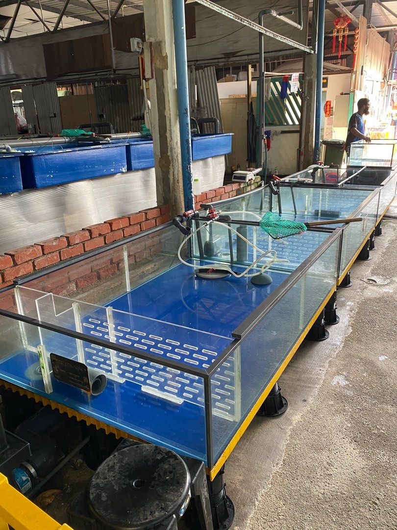 Chest Freezer, Freezer Fridge, Fresh Chiller bed & Tanks, TV & Home ...