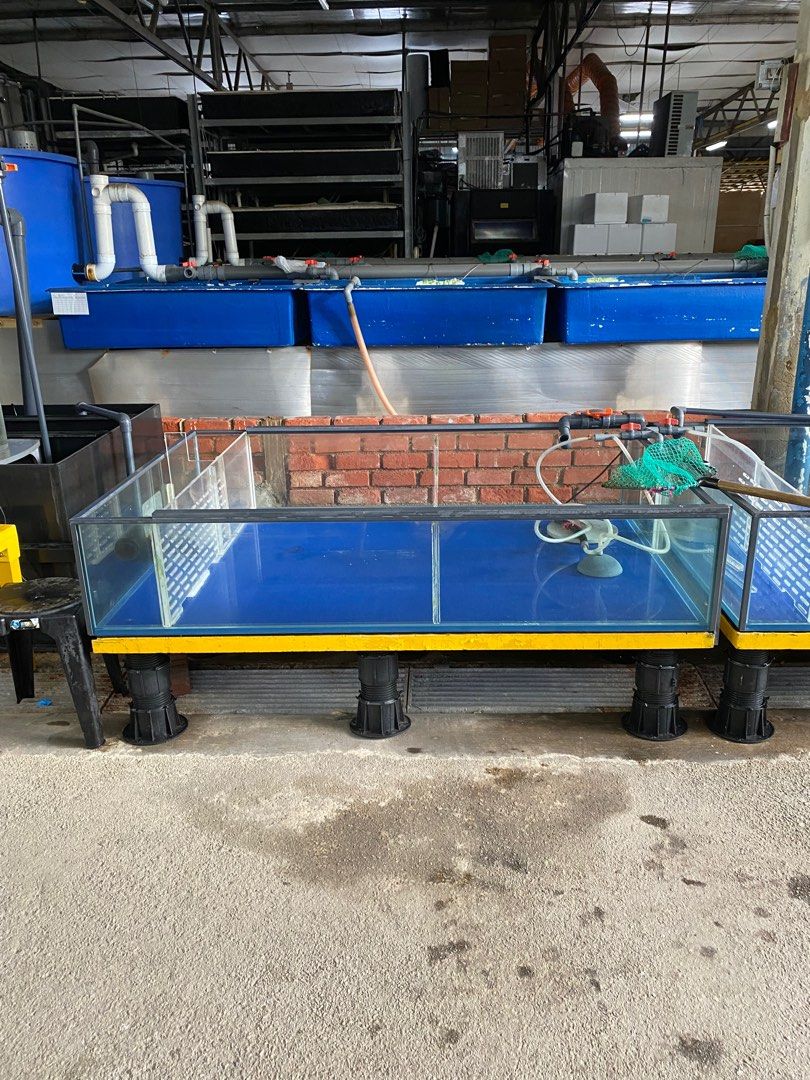 Chest Freezer, Freezer Fridge, Fresh Chiller bed & Tanks, TV & Home ...