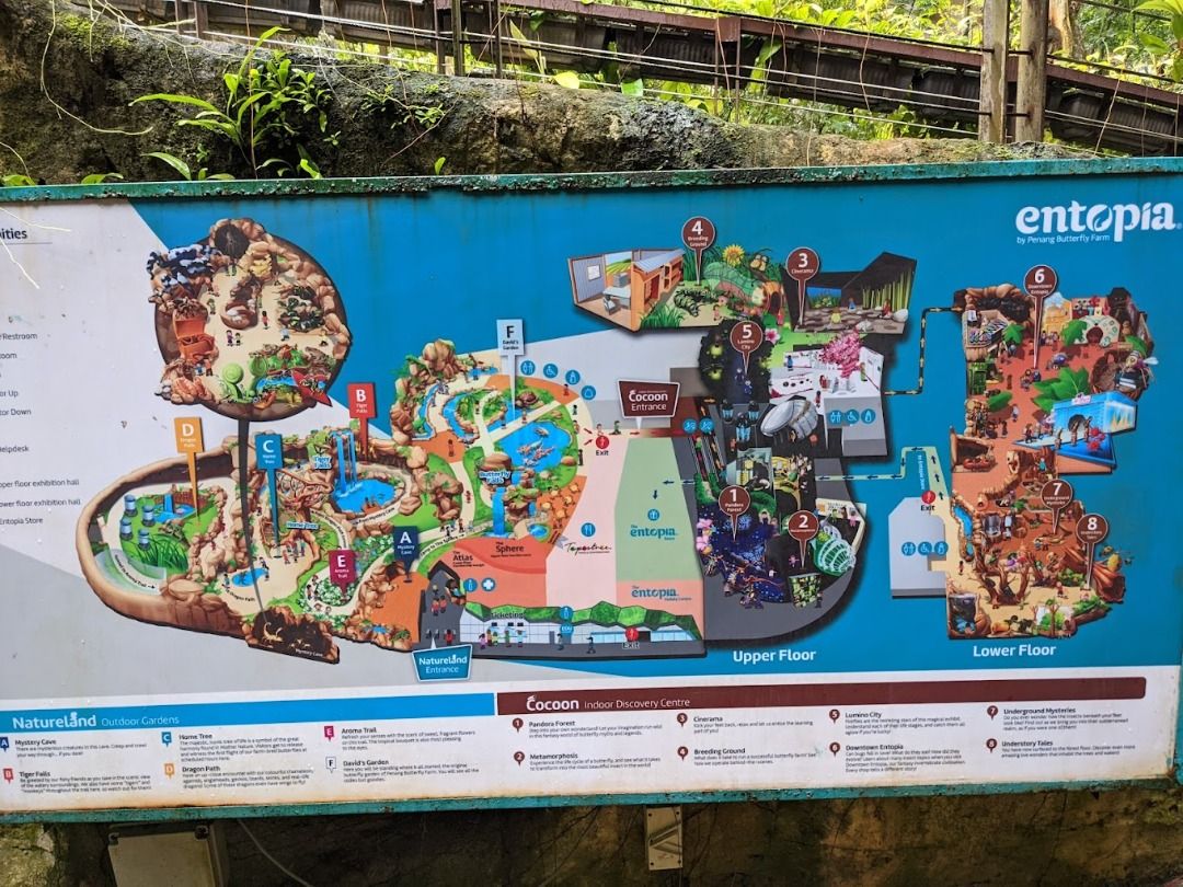 Entopia by Penang Butterfly Farm E-Ticket, Tickets & Vouchers, Flights ...
