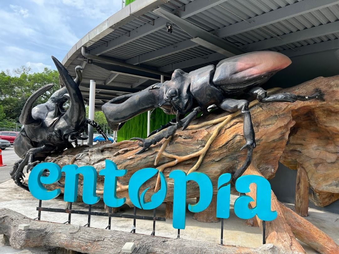 Entopia by Penang Butterfly Farm E-Ticket, Tickets & Vouchers, Flights ...