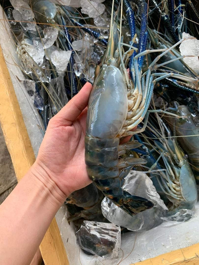 Fresh Seafood delivery of Ulang - Live Crab - Tiger Prawn - Vannamei ...