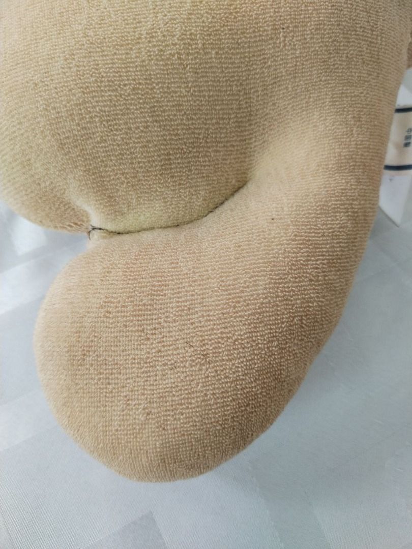 Sanrio Pompompurin Small Pillow Head Plush toy 10x16", Hobbies & Toys ...