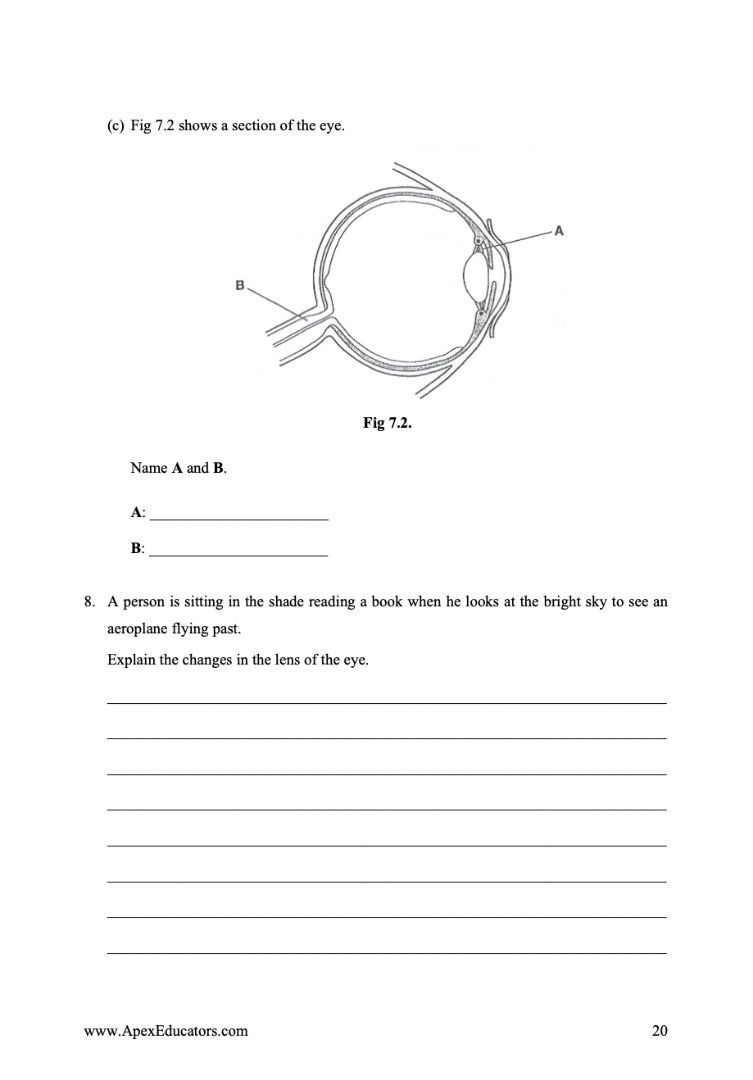 Sec 3/4/5 Combined science (Biology) Topical Worksheets (softcopy ...