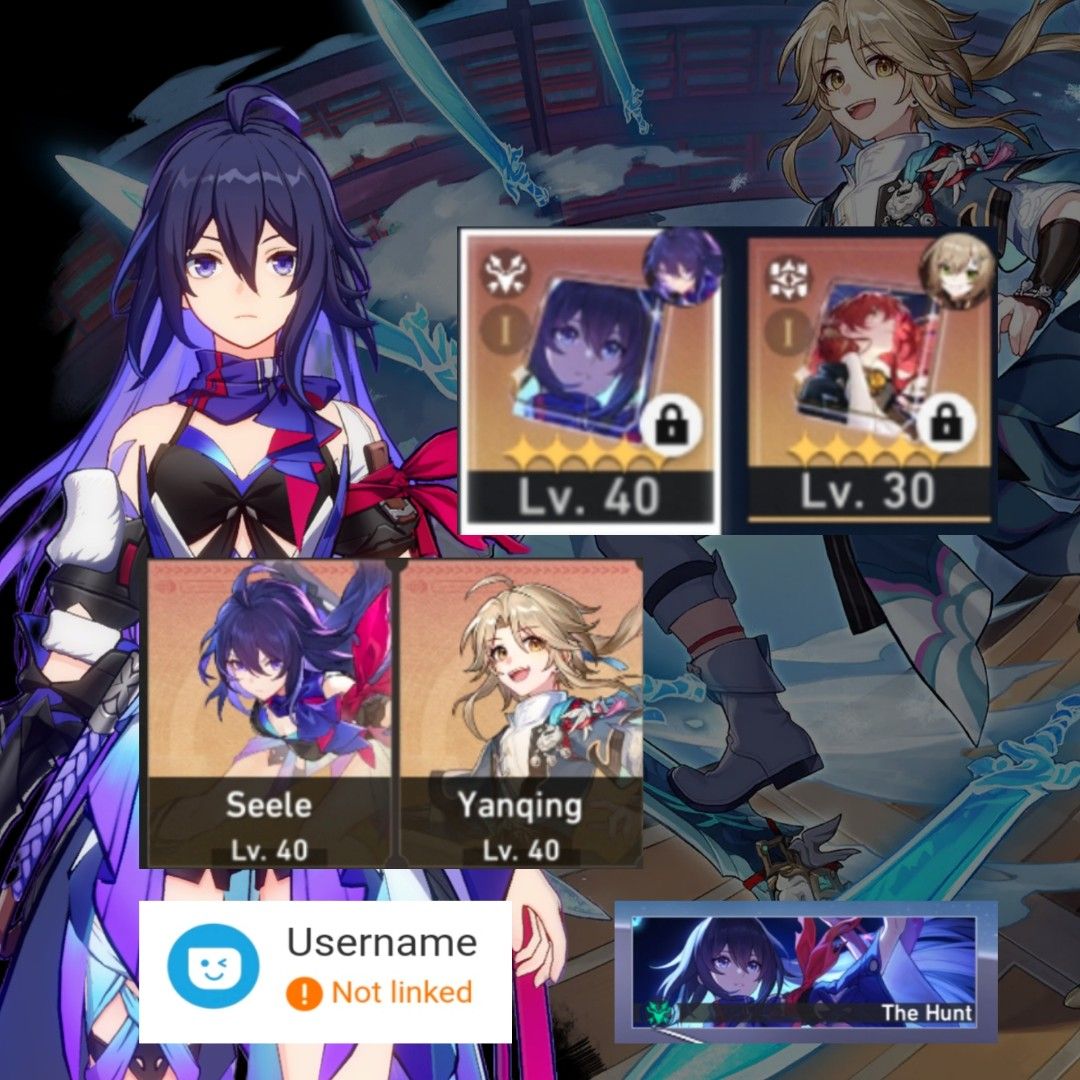 for sale seele w/ in the night light cone signature weapon + yanqing ...