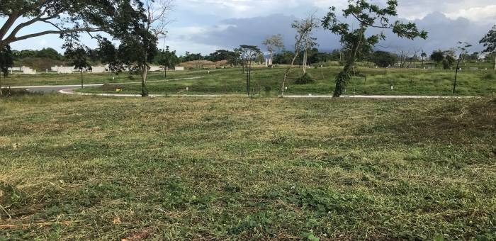 Vacant Lot For Sale in Barangay Ugong, Valenzuela City, Property, For ...