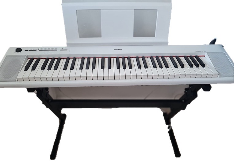 Yamaha NP12 Piaggero 61-key Portable Keyboard, Hobbies & Toys, Music & Media, Musical ...