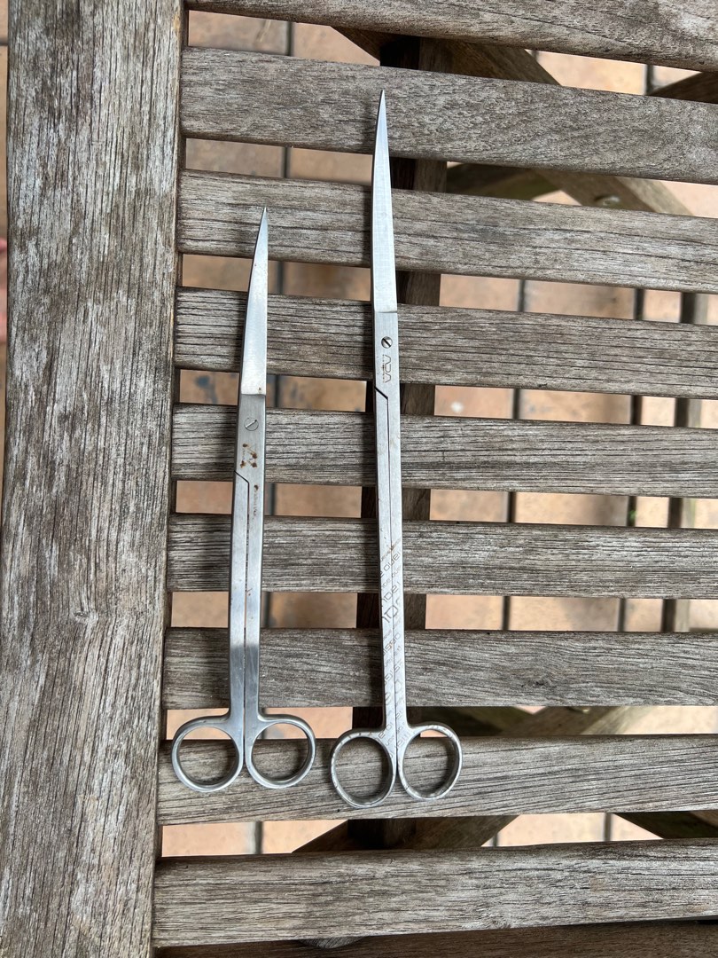 Aquascape Scissors - original ADA and VIV, Pet Supplies, Homes & Other ...