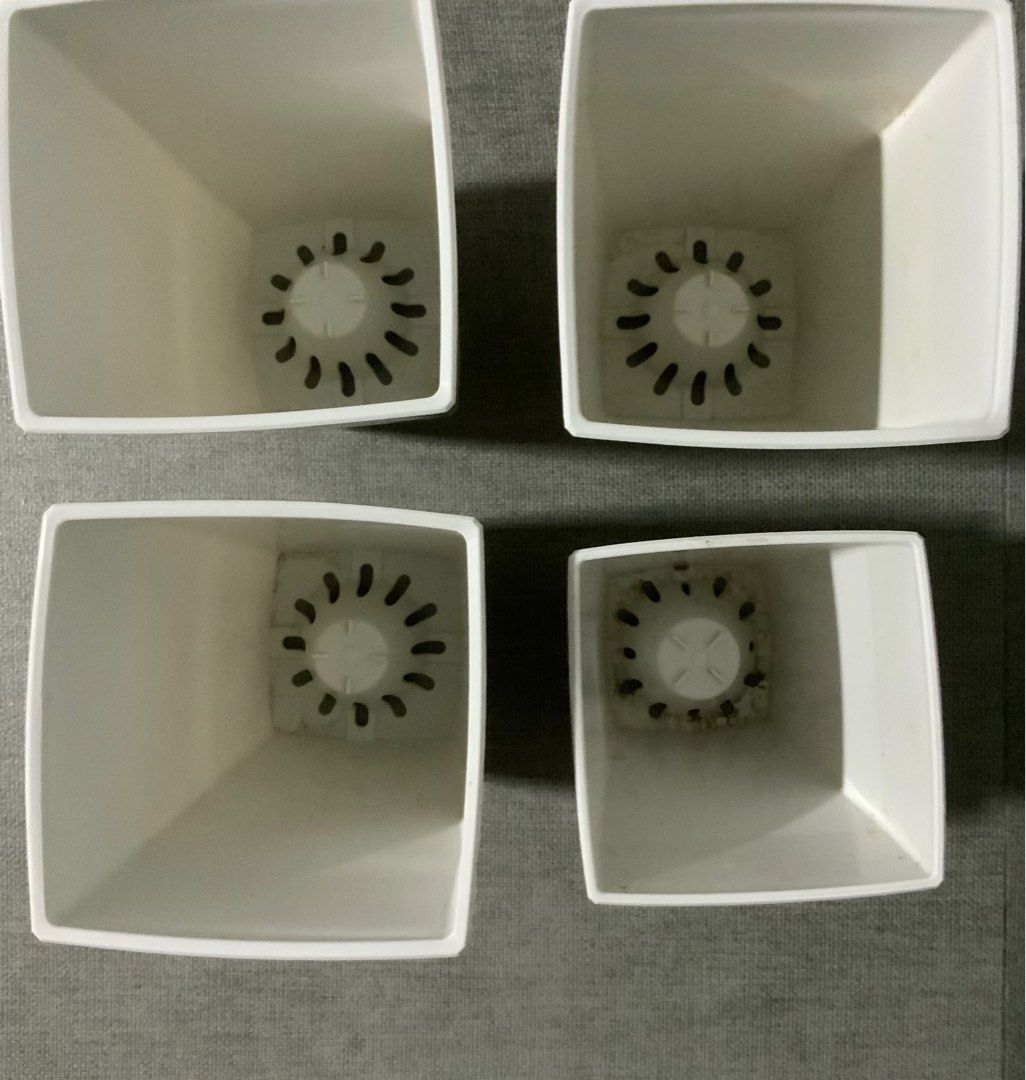 Daiso White Square Pots (4 Pots Bundle), Furniture & Home Living ...