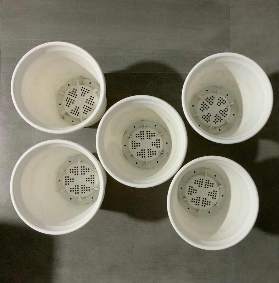 Daiso White Pots (5 pots bundle), Furniture & Home Living, Gardening ...