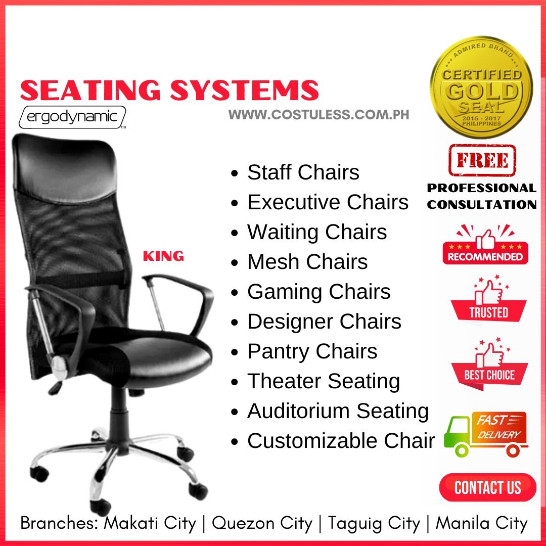 Ergodynamic KING Executive Premium High-back Mesh Chair, Office Chair ...